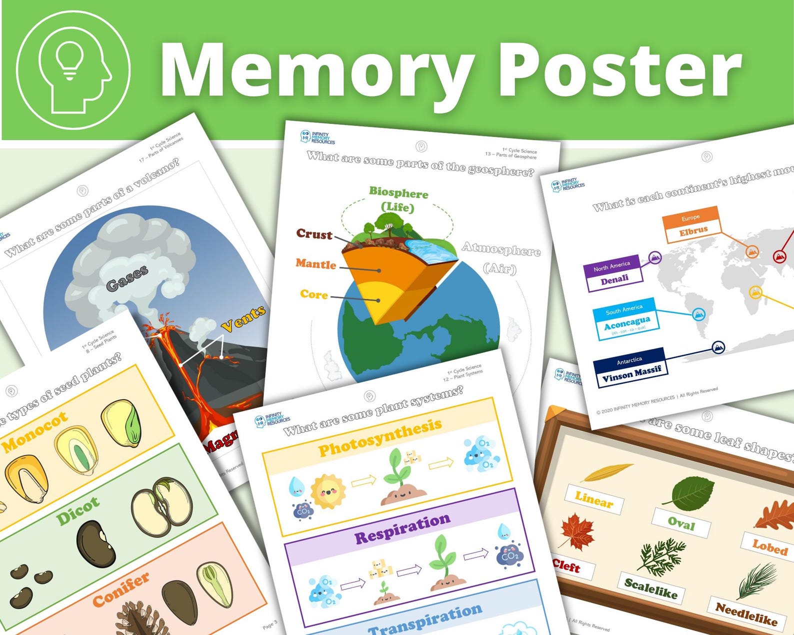 Cycle 1 - Science - Classical Weekly Worksheets - 24 Weeks - Etsy