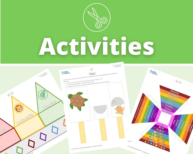 Cycle 1 Science Classical Weekly Worksheets Weeks 1-12 - Etsy