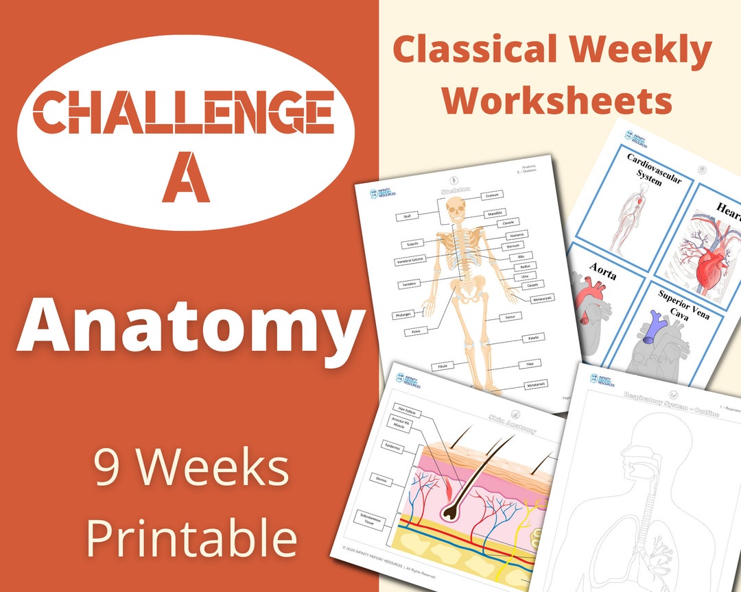 Challenge A - Anatomy - Classical Weekly Worksheets - 9 Weeks - Etsy