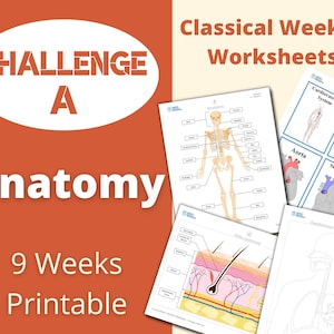 Challenge A - Anatomy - Classical Weekly Worksheets - 9 Weeks - Etsy