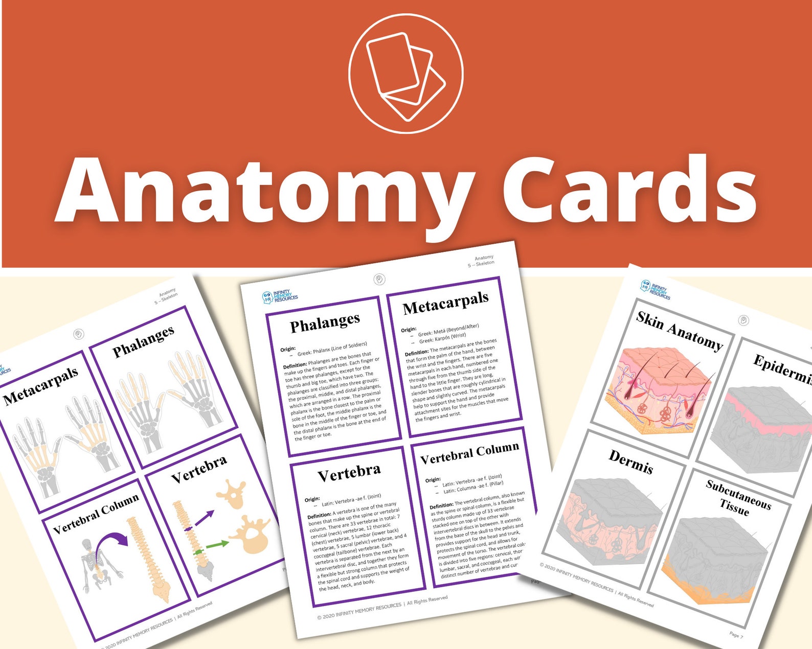 Challenge A - Anatomy - Classical Weekly Worksheets - 9 Weeks - Etsy