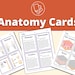 Challenge A - Anatomy - Classical Weekly Worksheets - 9 Weeks - Etsy