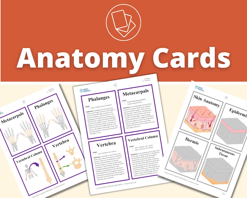 Challenge A - Anatomy - Classical Weekly Worksheets - 9 Weeks - Etsy