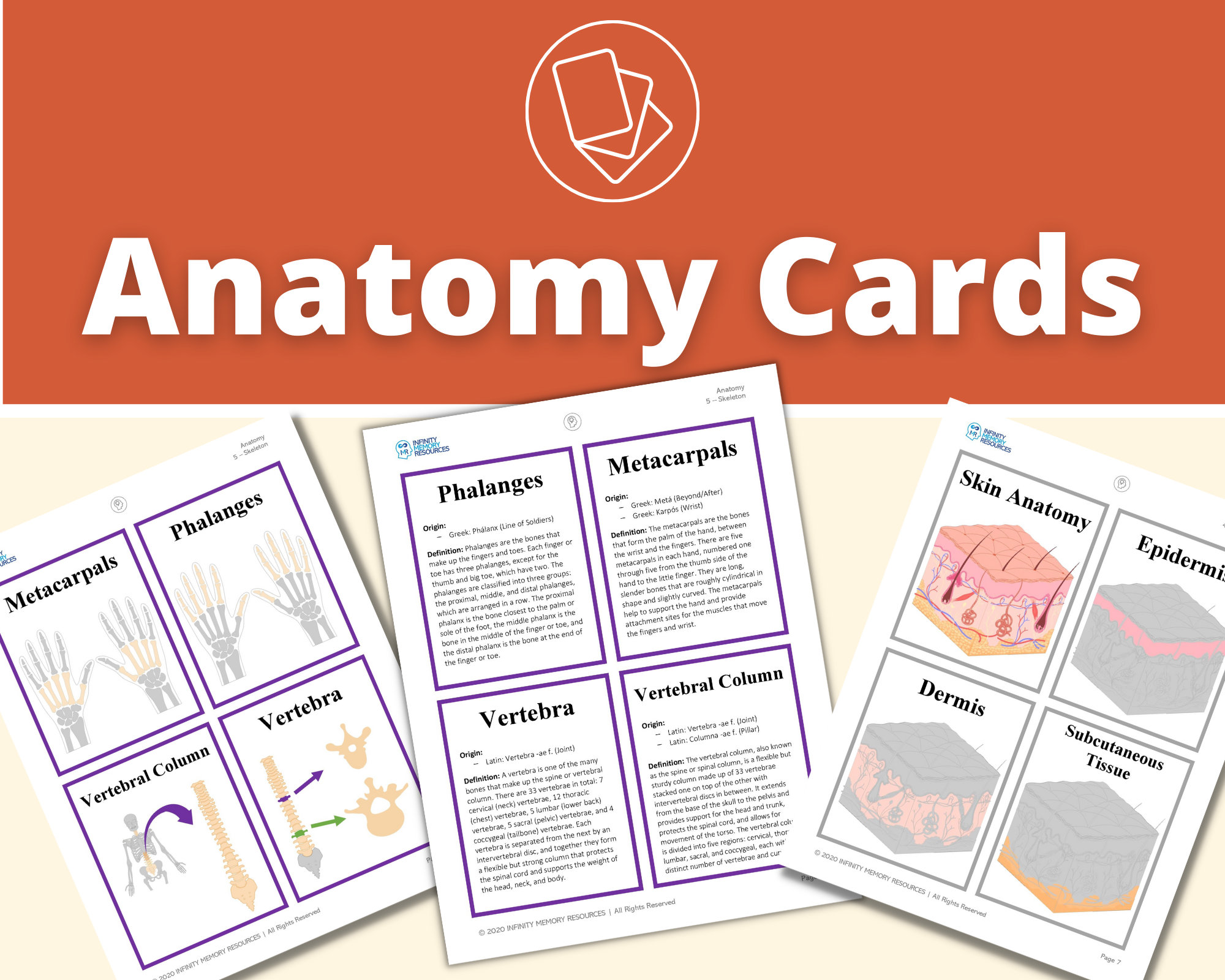Challenge A - Anatomy - Classical Weekly Worksheets - 9 Weeks - Etsy