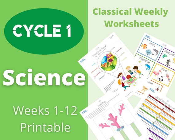 Cycle 1 Science Classical Weekly Worksheets Weeks 1-12 - Etsy