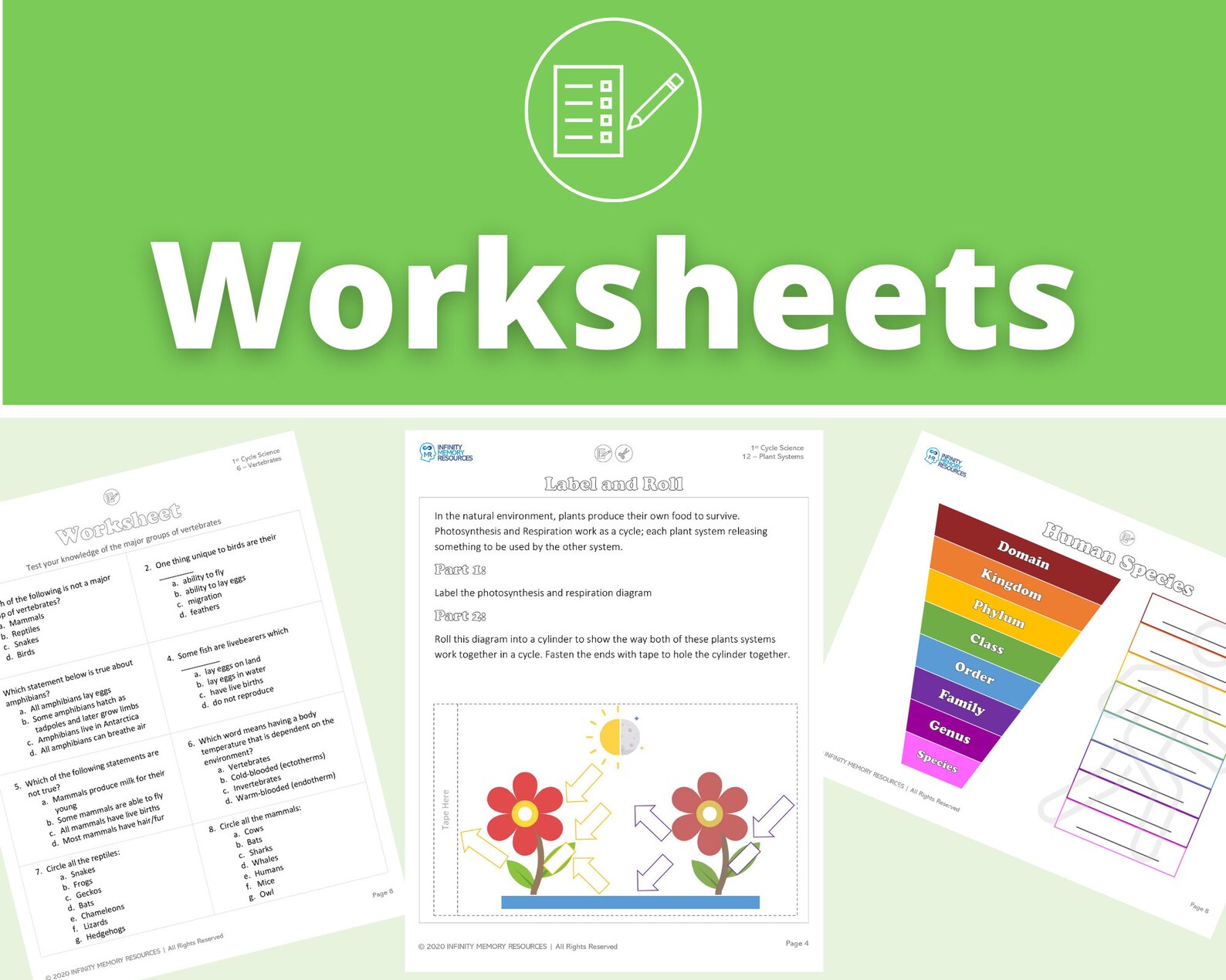 Cycle 1 Science Classical Weekly Worksheets Weeks 1-12 - Etsy