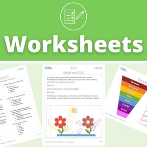 Cycle 1 Science Classical Weekly Worksheets Weeks 1-12 - Etsy