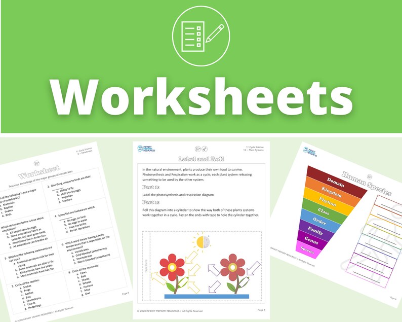 Cycle 1 Science Classical Weekly Worksheets Weeks 1-12 - Etsy