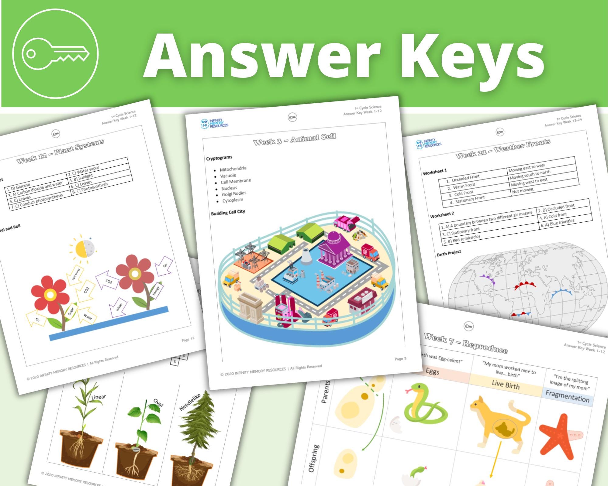 Cycle 1 - Science - Classical Weekly Worksheets - 24 Weeks - Etsy