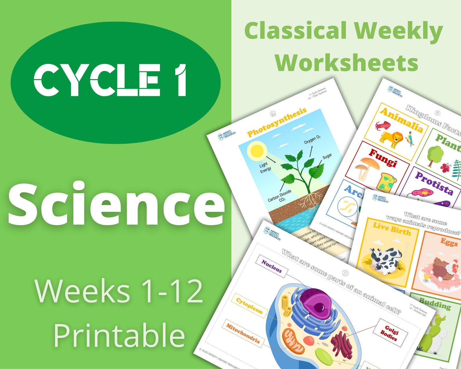 Cycle 1 - Science - Classical Weekly Worksheets - Weeks 1-12 - Etsy