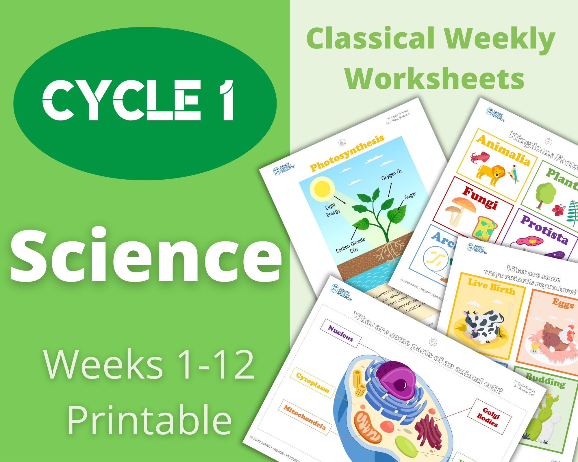 Cycle 1 - Science - Classical Weekly Worksheets - Weeks 1-12 - Etsy