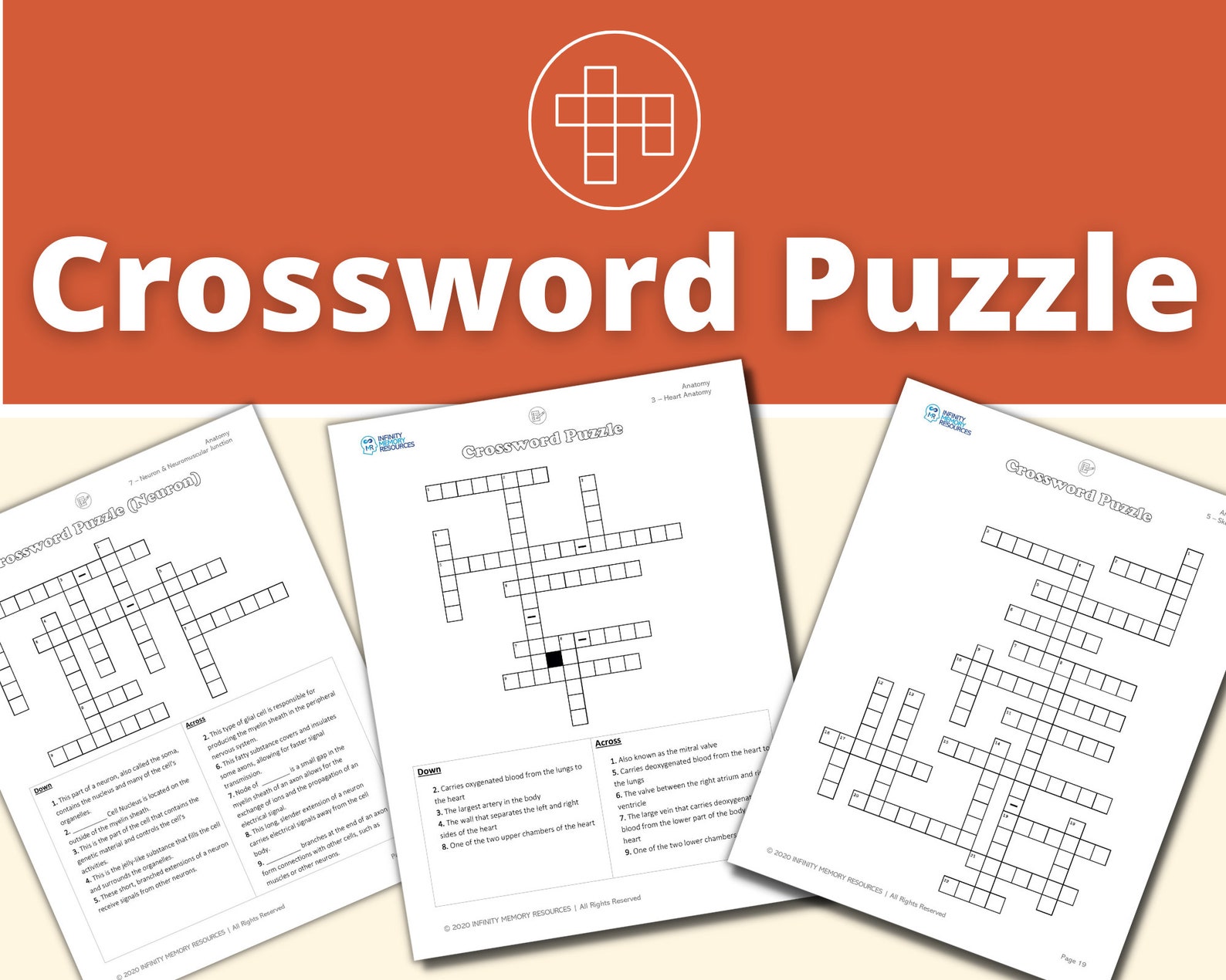 Challenge A - Anatomy - Classical Weekly Worksheets - 9 Weeks - Etsy