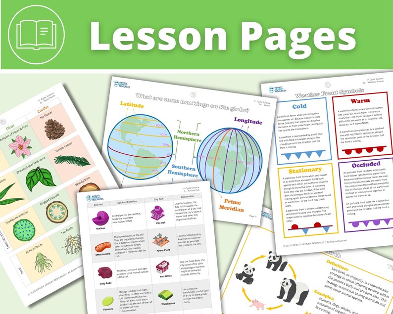 Cycle 1 - Science - Classical Weekly Worksheets - 24 Weeks - Etsy