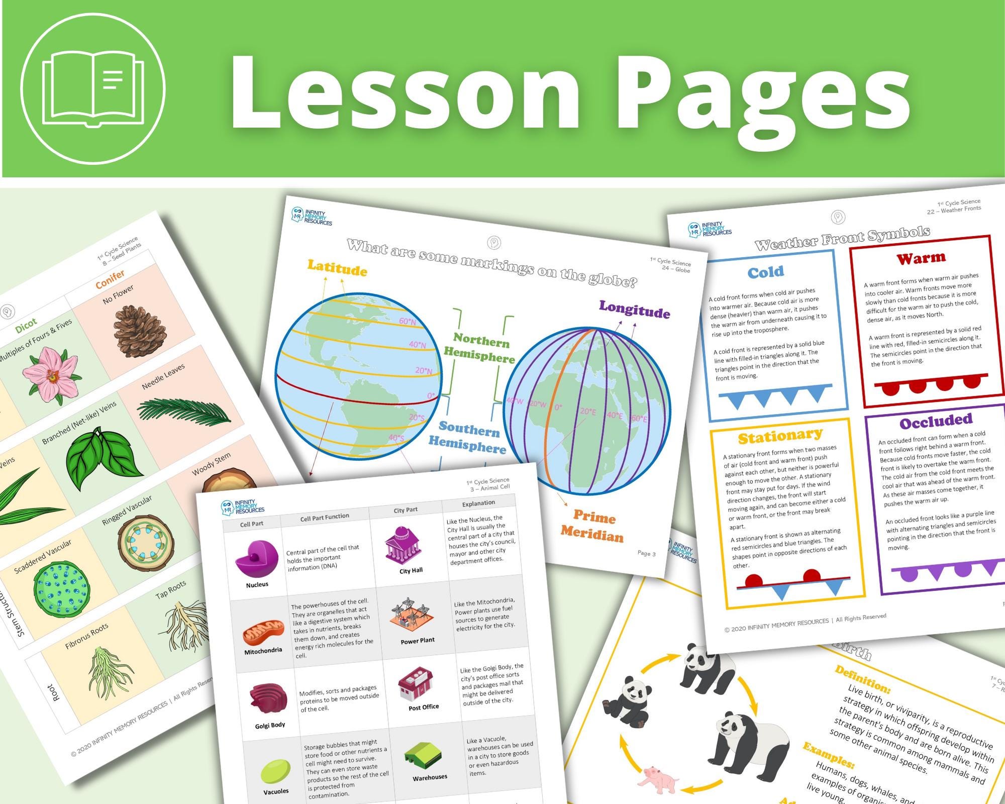 Cycle 1 - Science - Classical Weekly Worksheets - 24 Weeks - Etsy