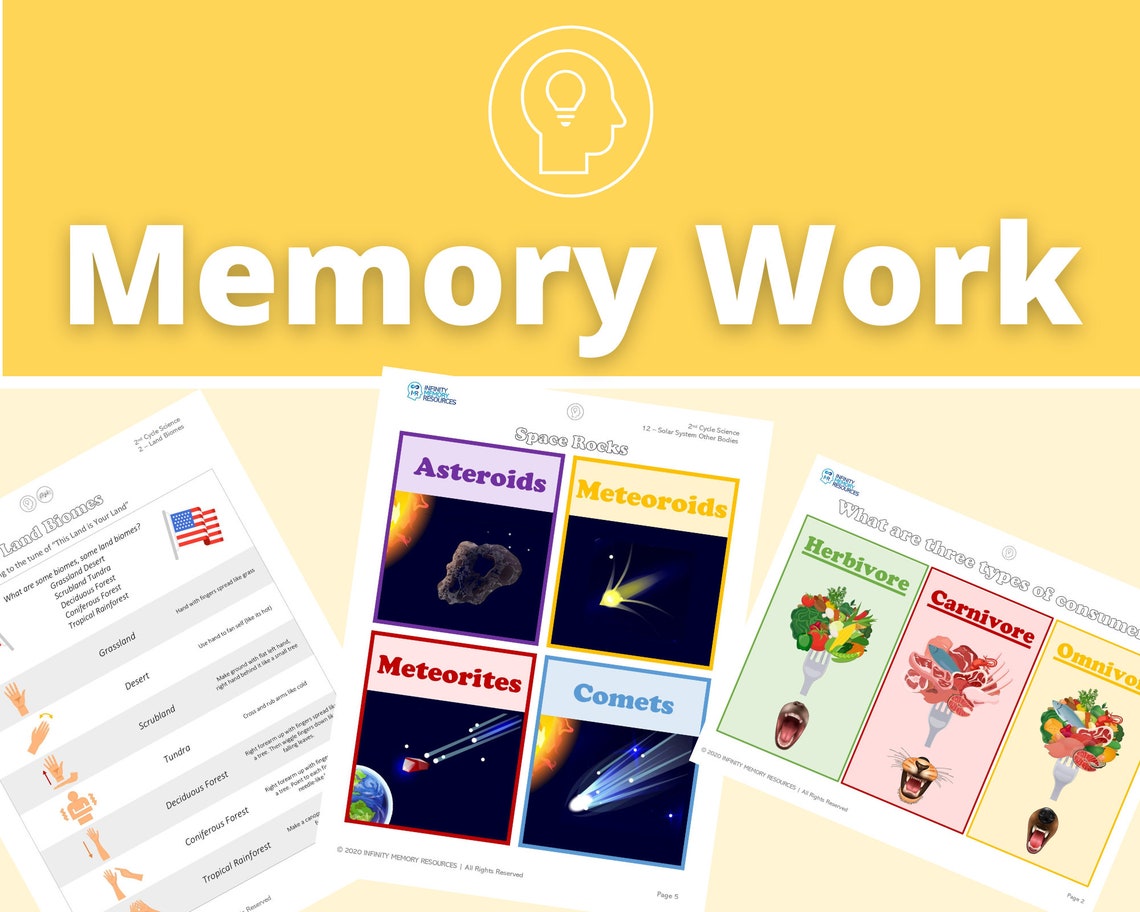 Cycle 2 Science Classical Weekly Worksheets Weeks 1-12 - Etsy