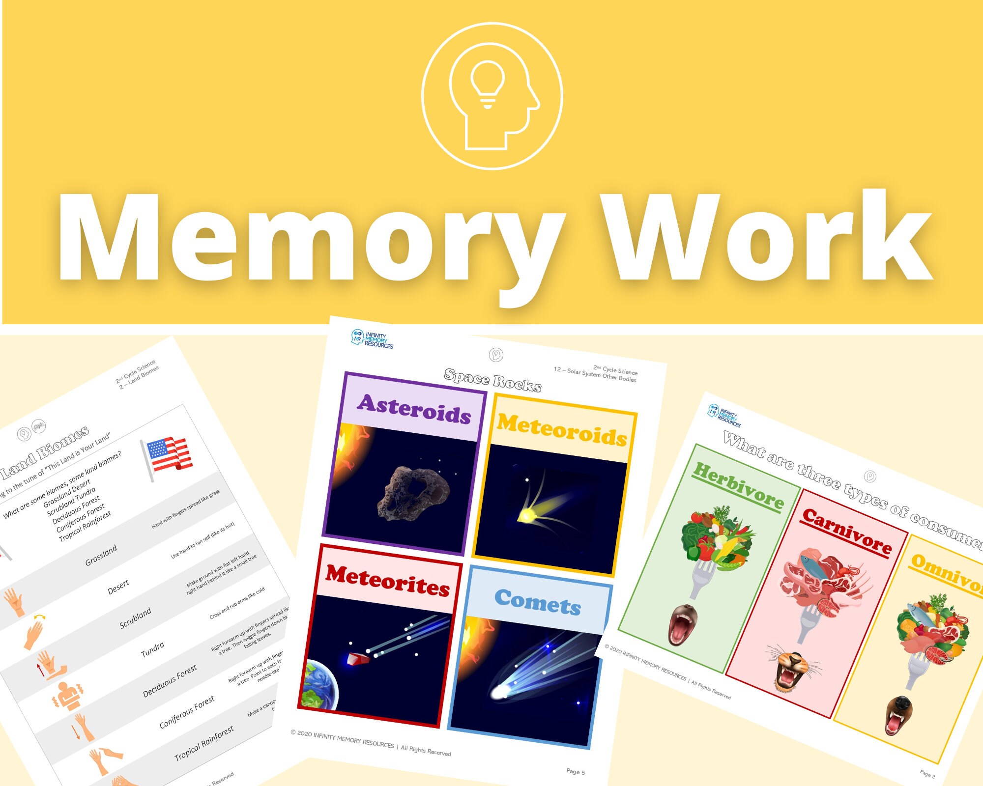 Cycle 2 Science Classical Weekly Worksheets Weeks 1-12 - Etsy