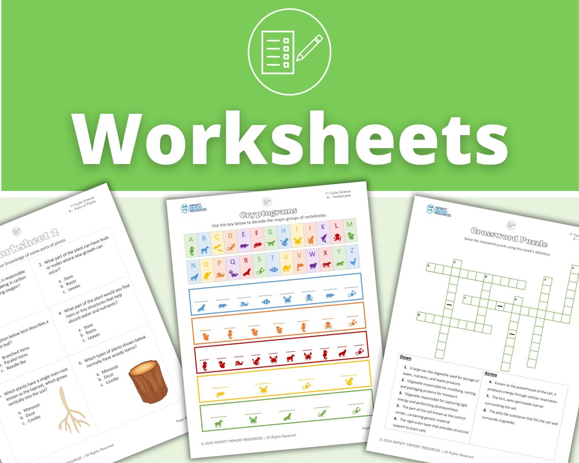 Cycle 1 Science Classical Weekly Worksheets Weeks 1-12 - Etsy