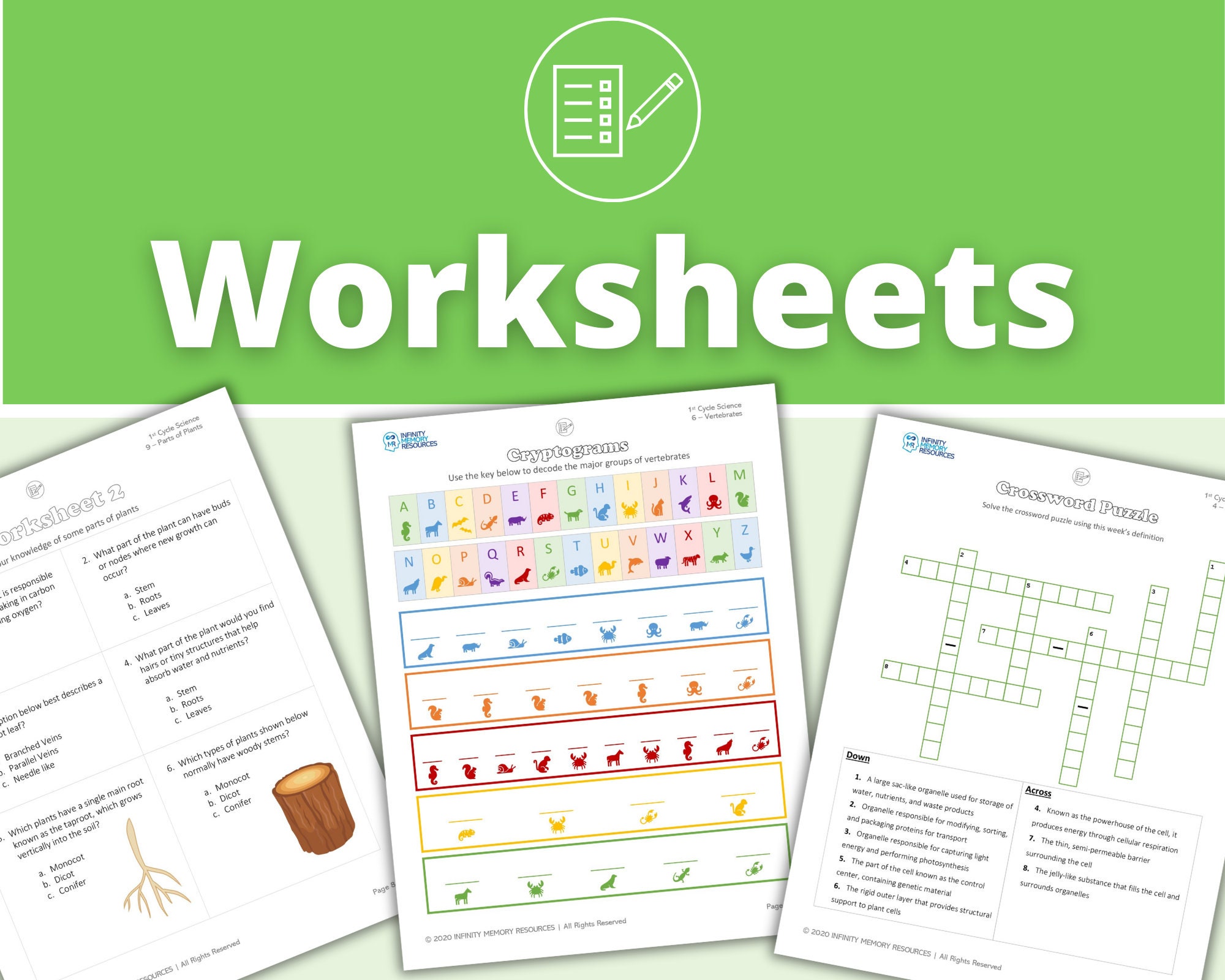 Cycle 1 - Science - Classical Weekly Worksheets - Weeks 1-12 - Etsy