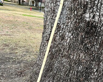 Holly Walking Stick - Etsy