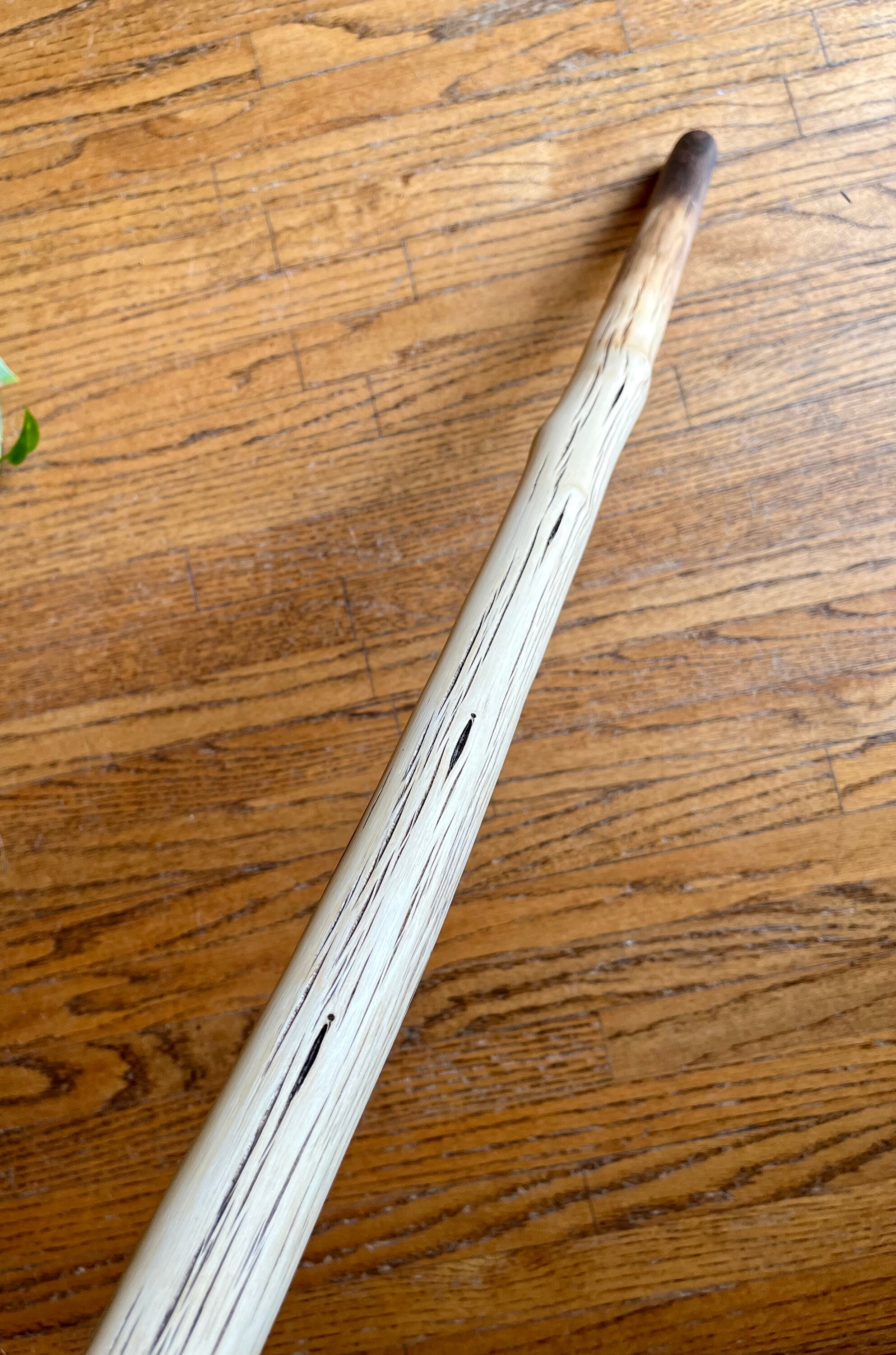 55 Crepe Myrtle Walking Stick / Wizard Staff | Etsy