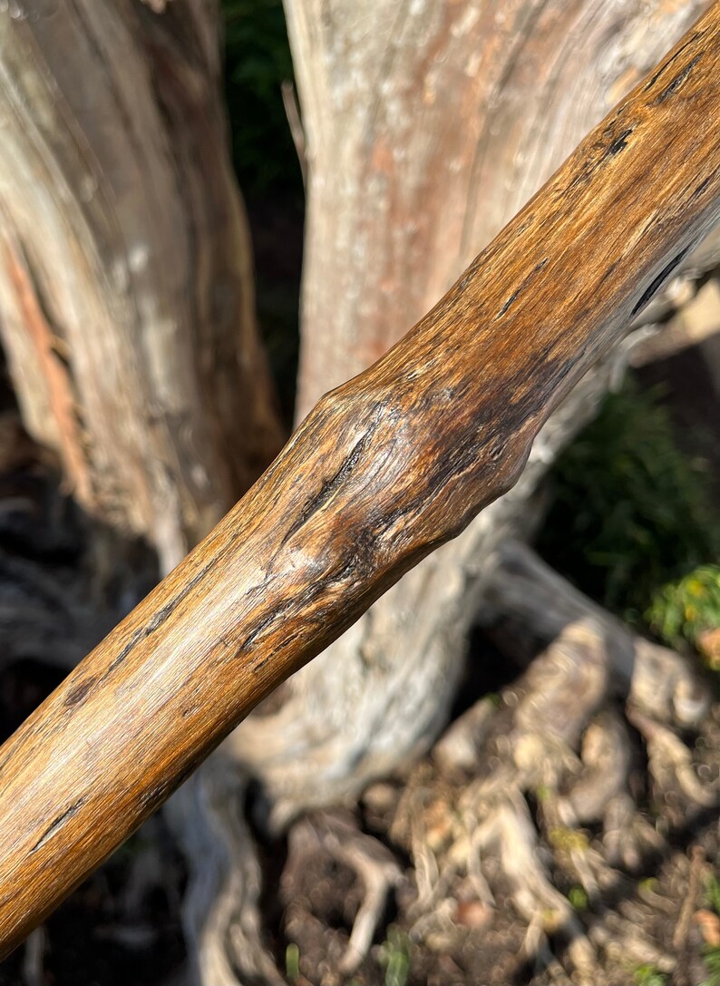 61 Tall Crepe Myrtle Wizard Staff / Walking Stick Relic - Etsy