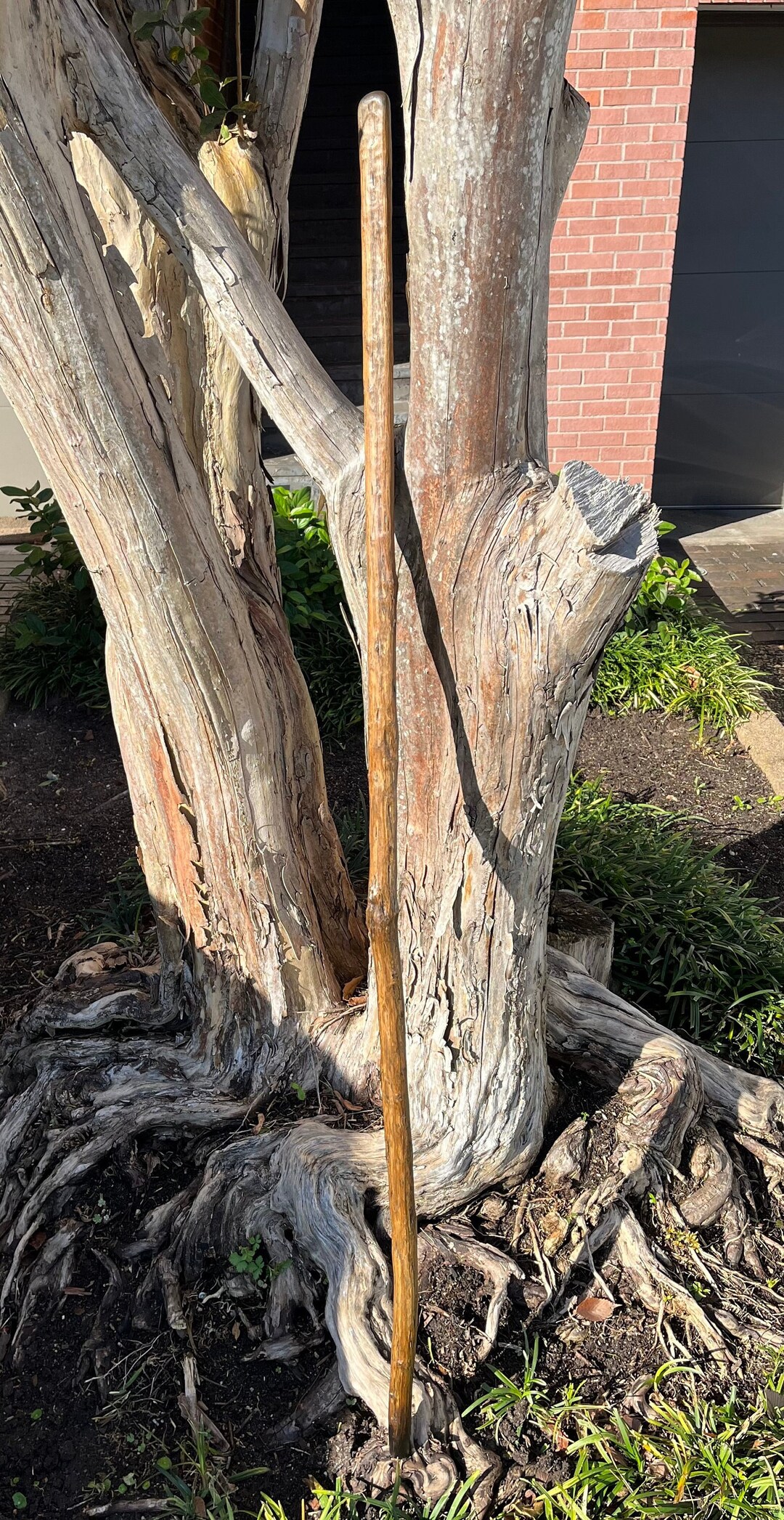 61 Tall Crepe Myrtle Wizard Staff / Walking Stick, Relic Series - Etsy