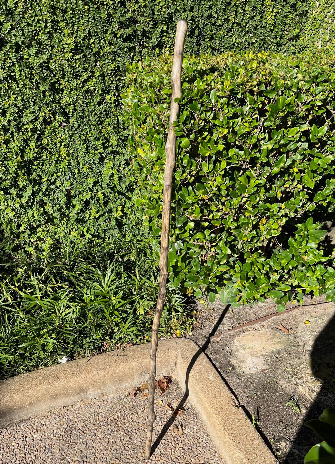 69” Pear Staff, Long, Lean & Lumpy, Ebonized - Etsy