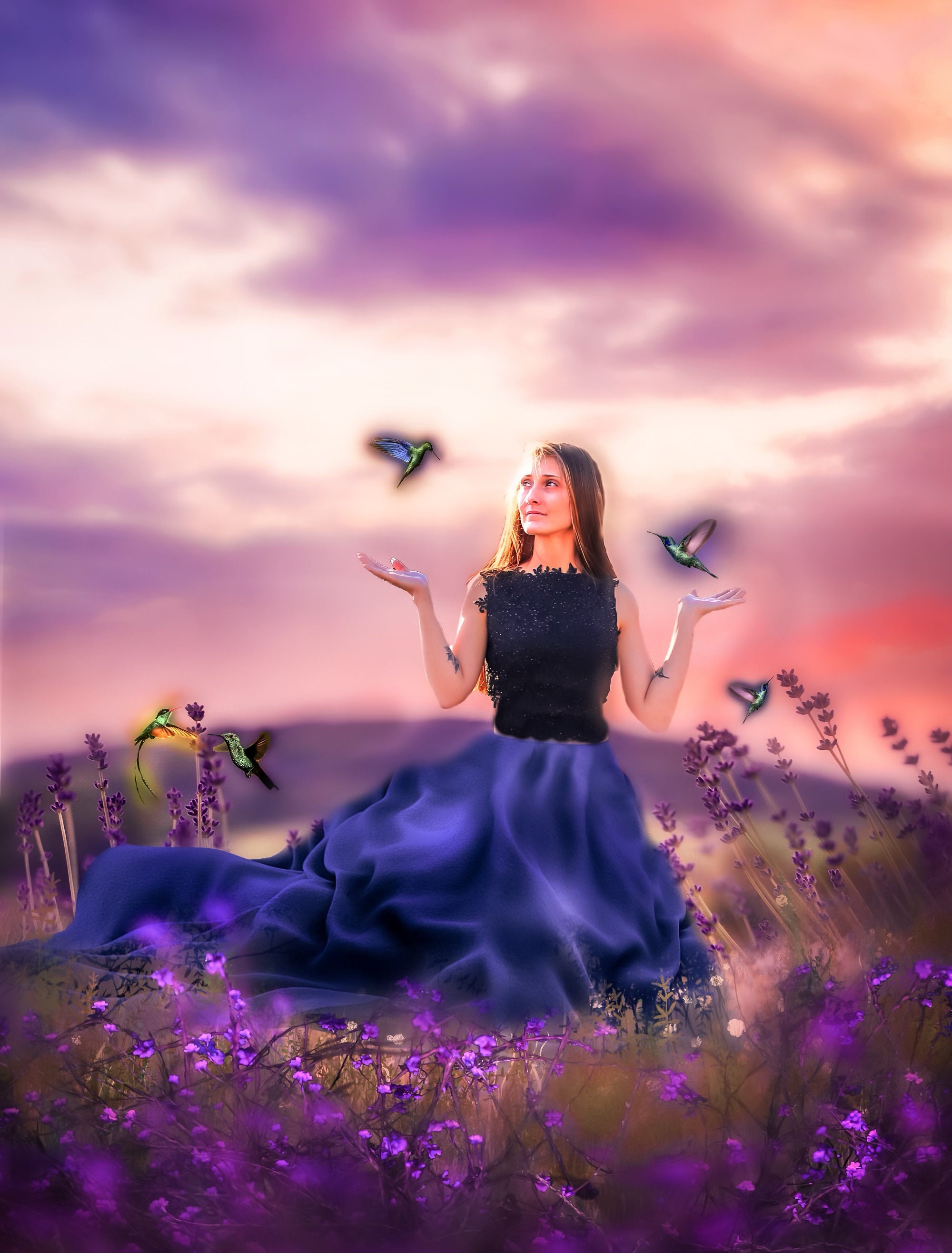 Hummingbirds-birds-hummingbird-hummingbird Overlay-bird Overlay ...