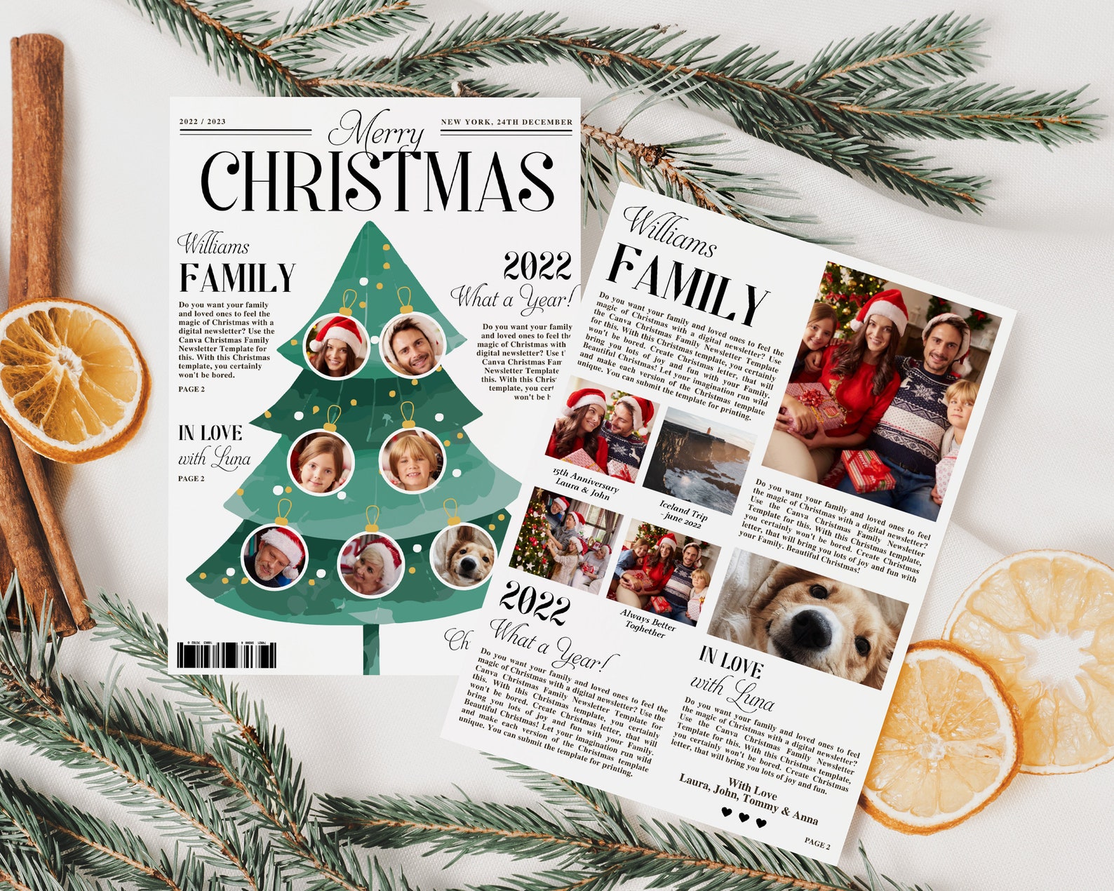Year in Review / Christmas Newsletter / Canva Template / Christmas Card ...