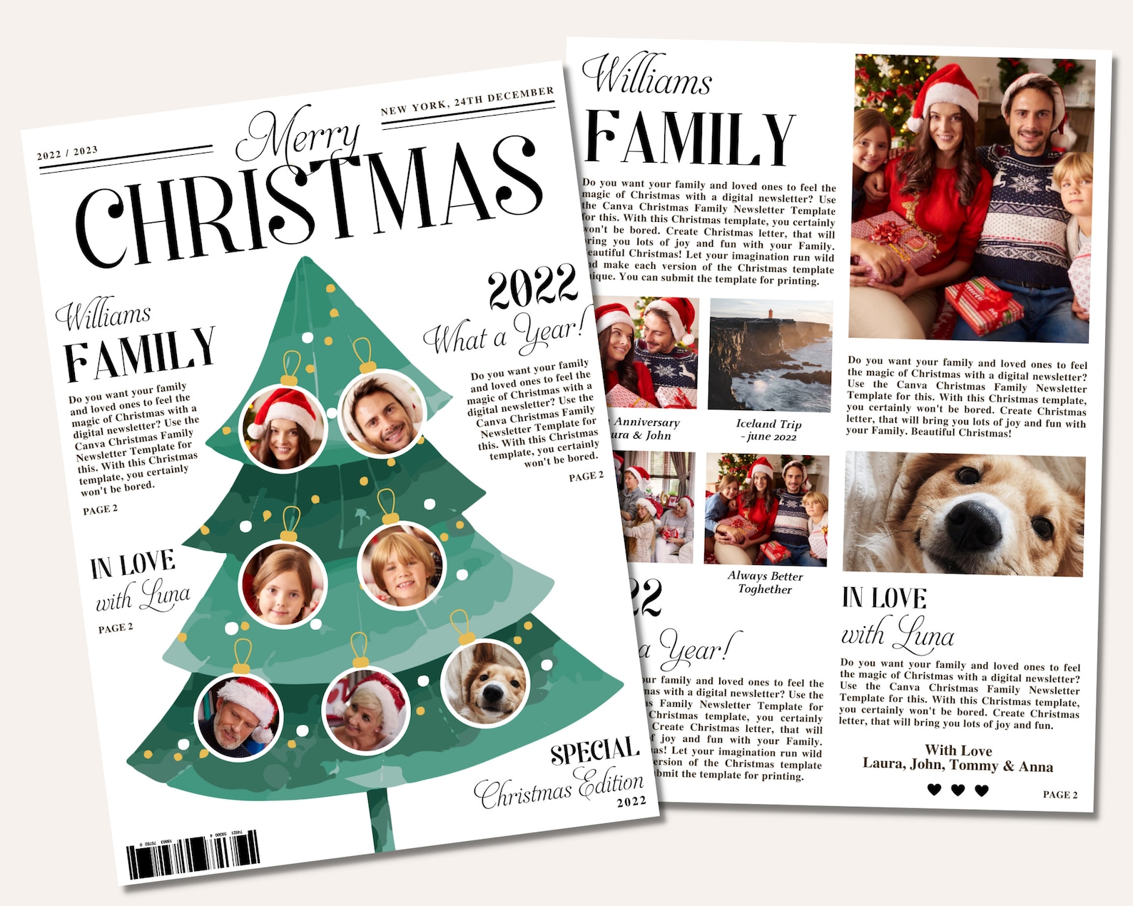 Year in Review / Christmas Newsletter / Canva Template / - Etsy