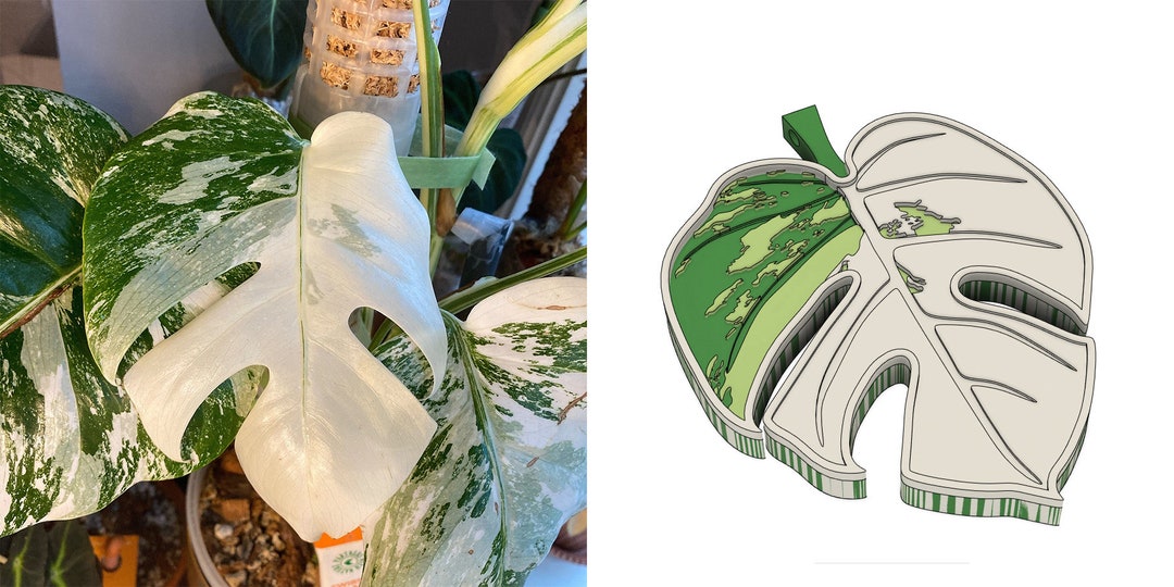 Custom Plant Designs - Etsy