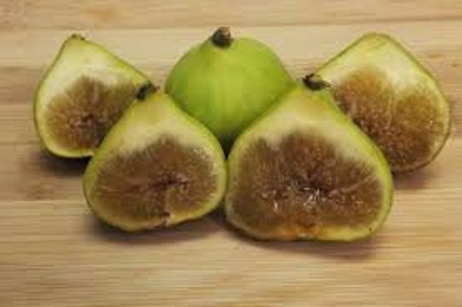 LSU Gold Fig Tree Ficus Carica Louisian Gold Fig Tree Live | Etsy