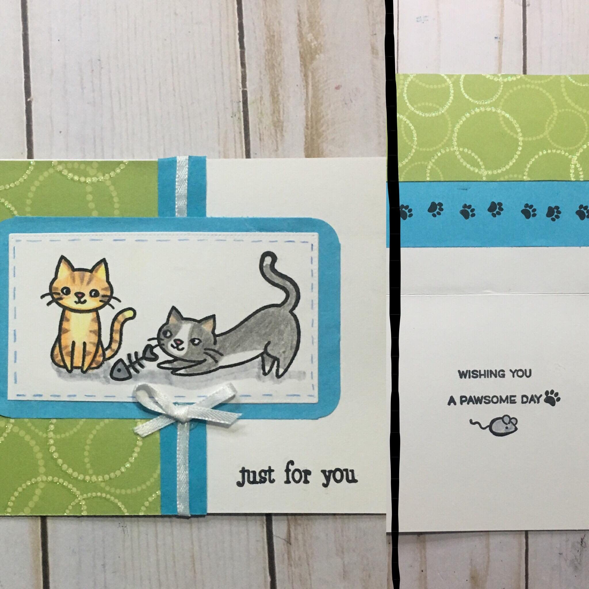 Set of 7 Kitty Cat Cards for the Cat Lover - Etsy