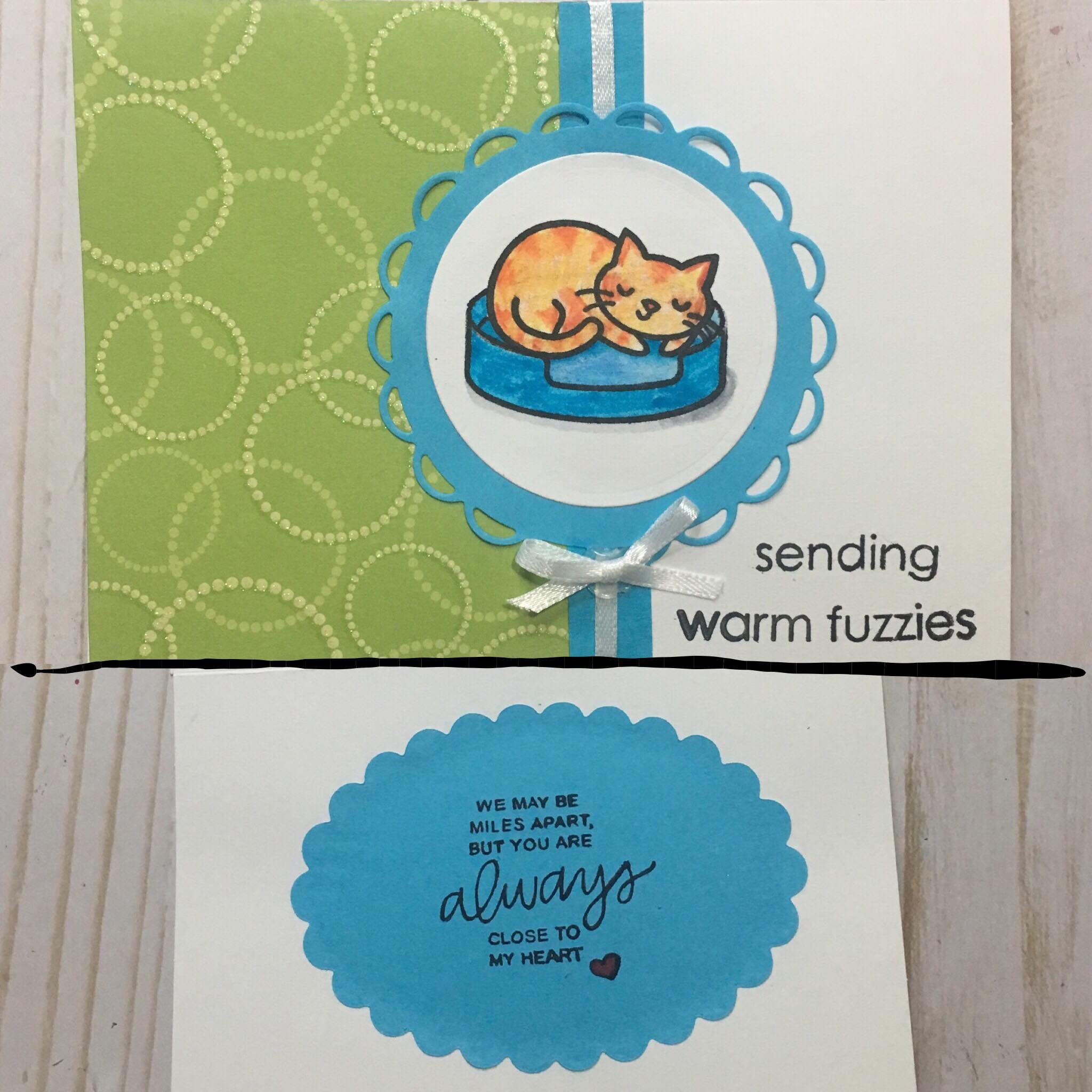 Set of 7 Kitty Cat Cards for the Cat Lover - Etsy