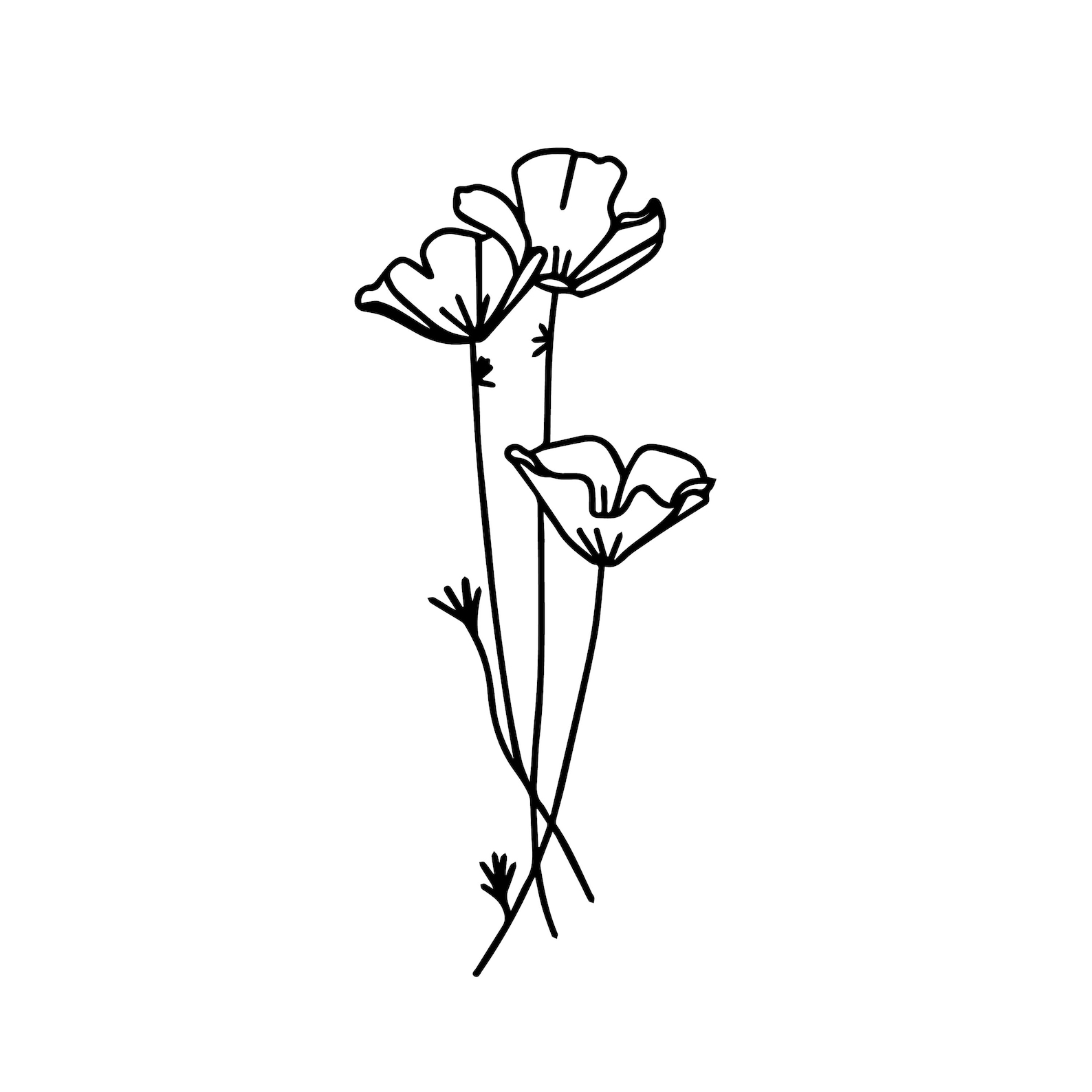 California Poppy SVG PNG, California State Flower, Poppy, Cut File for ...
