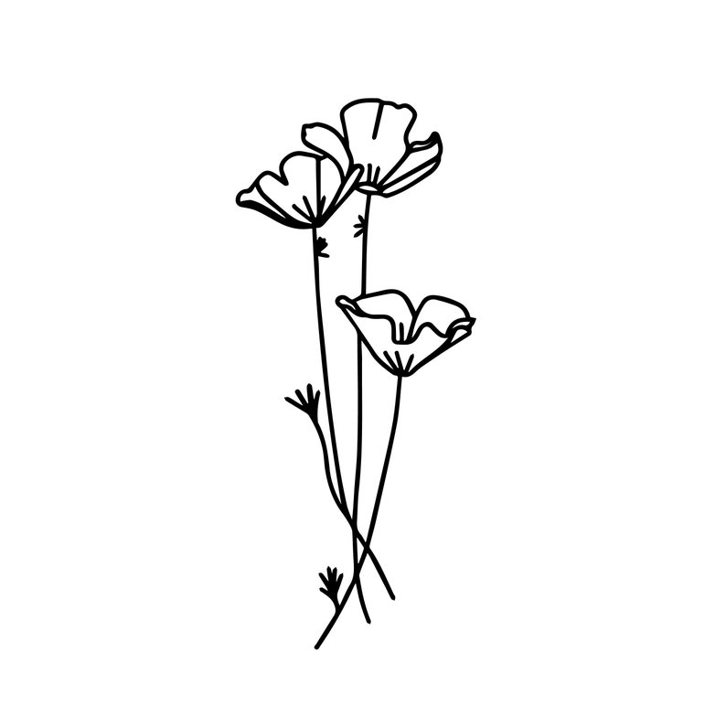 California Poppy SVG PNG, California State Flower, Poppy, Cut File for ...