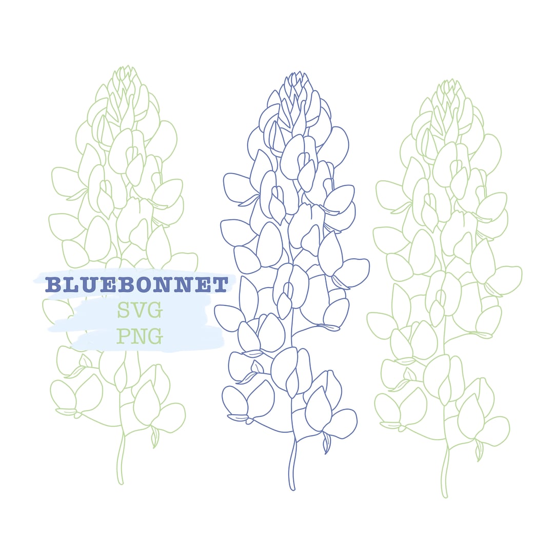 Texas Bluebonnet Wildflower PNG SVG Cut File for Laser Cutting, Decals ...