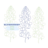 Bluebonnet - Etsy