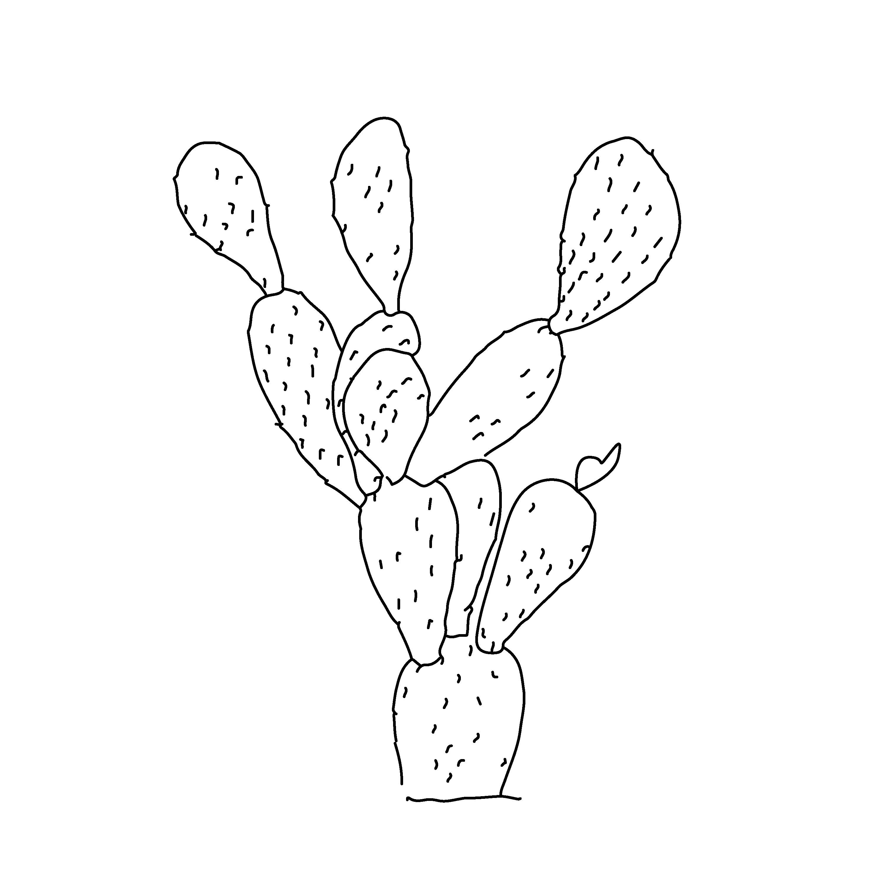 Cactus Succulent Cut Files SVG and PNG for Laser Cutter, Cricut, for ...