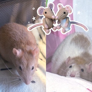 Custom Crochet Rat | Amigurumi Rat From Your Photo - Etsy UK