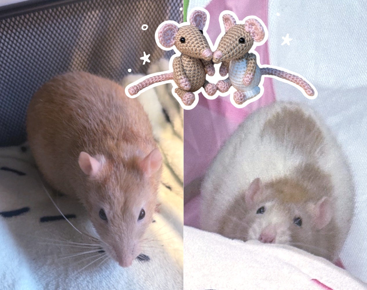 Custom Crochet Rat Amigurumi Rat From Your Photo - Etsy