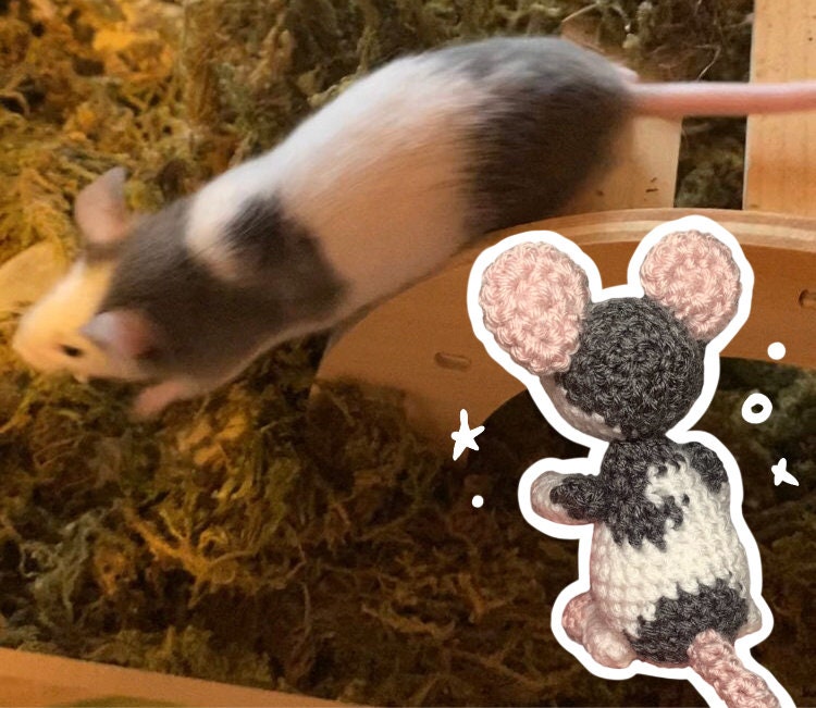Custom Crochet Rat Amigurumi Rat From Your Photo - Etsy