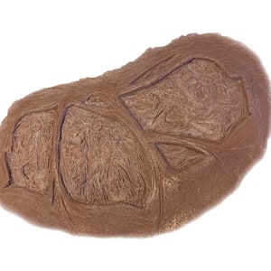 Zombie Decaying Skin Prosthetic, SFX, Makeup, Gore, Halloween ...