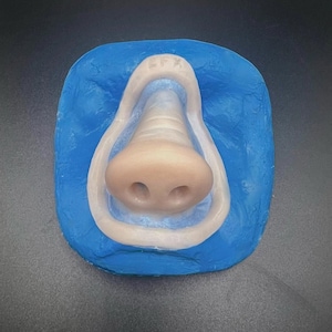 Pig Nose Prosthetic, Animal Nose, Snout, SFX, Makeup, Fantasy, Cosplay ...