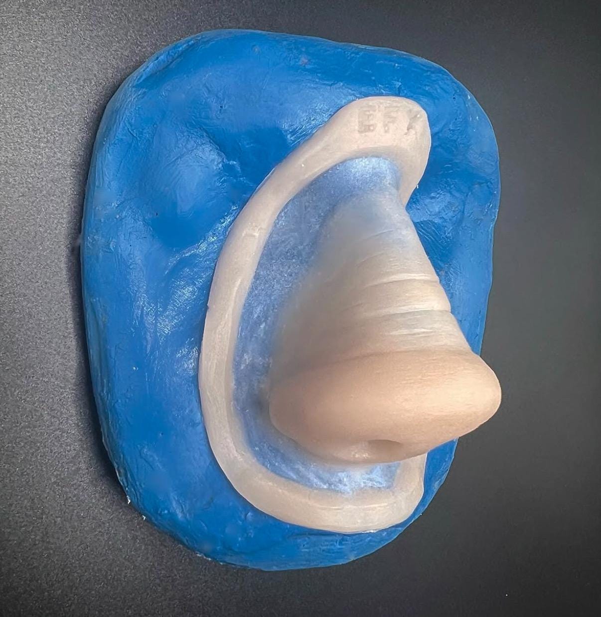 Pig Nose Prosthetic, Animal Nose, Snout, SFX, Makeup, Fantasy, Cosplay ...