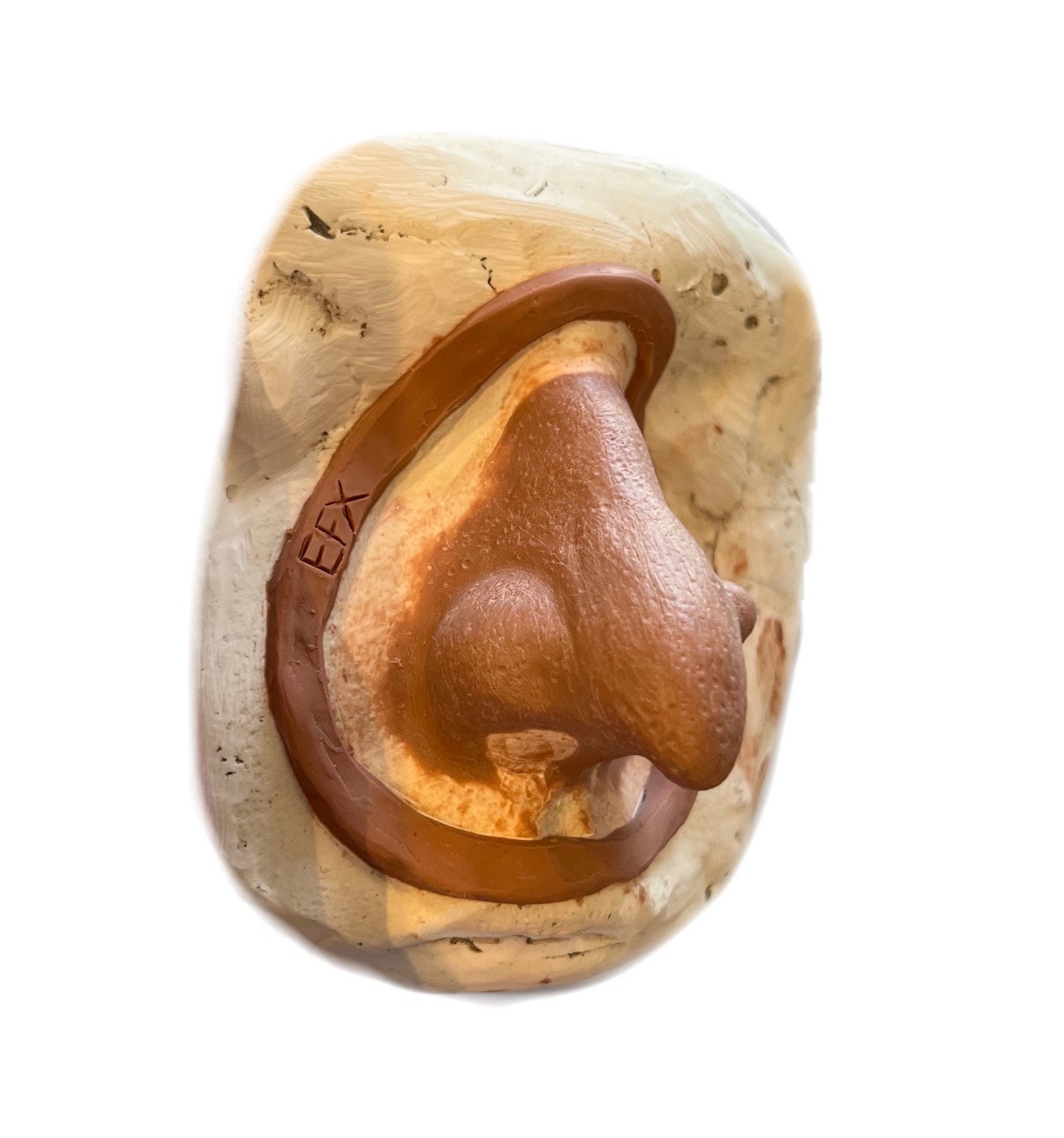 Witch Nose Prosthetic Snow White Wicked Wizard of Oz SFX - Etsy