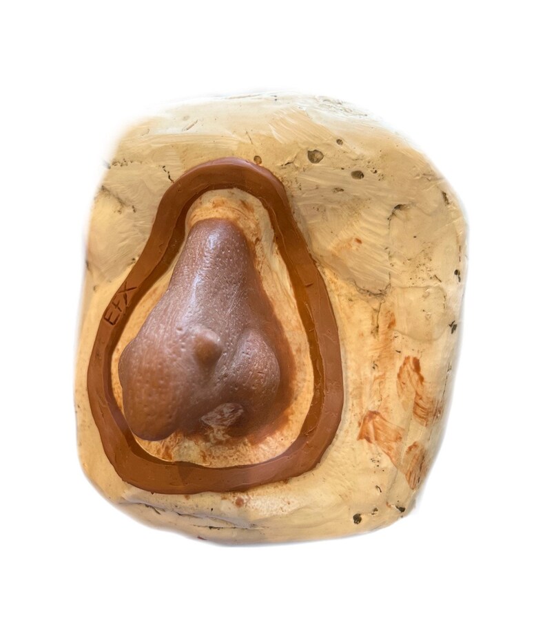 Witch Nose Prosthetic Snow White Wicked Wizard of Oz SFX - Etsy