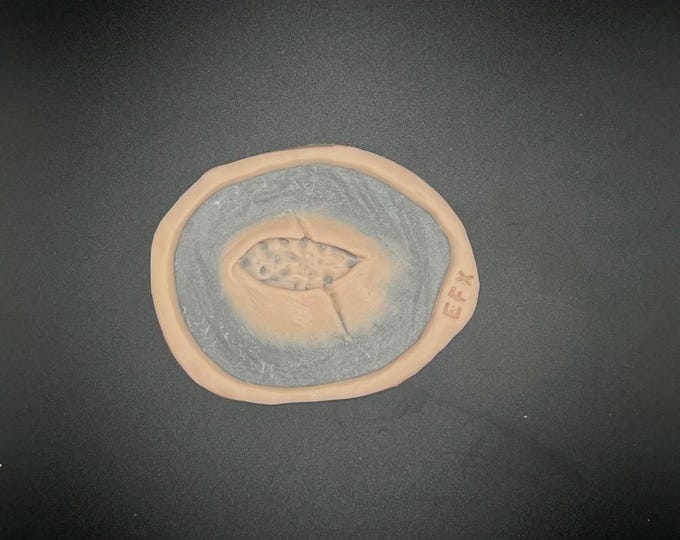 Torso Human Pelt - Etsy Canada