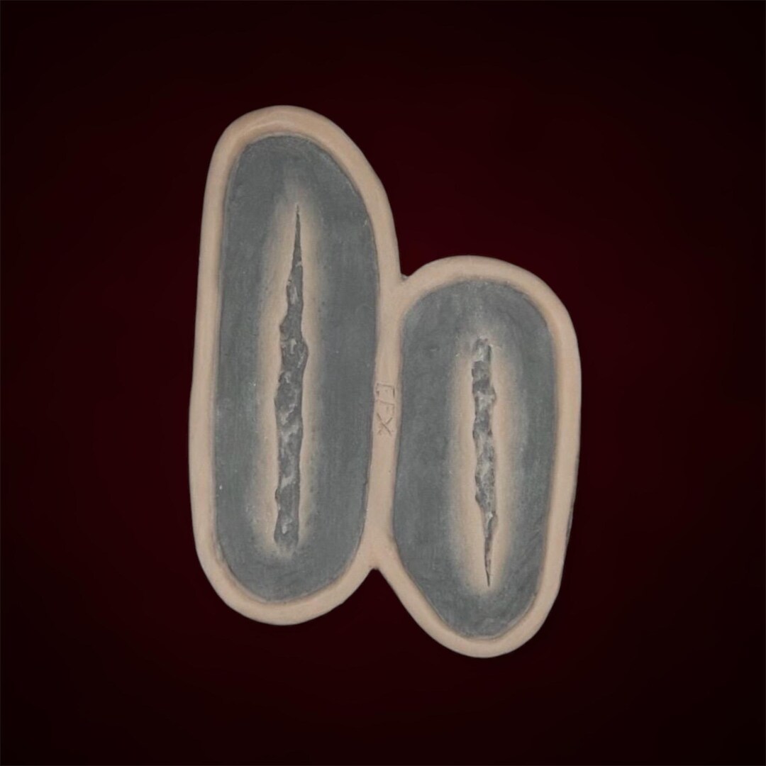 Cut Skin Prosthetic, Gash, Eye Wound, Animal Attack, Halloween, Gore ...