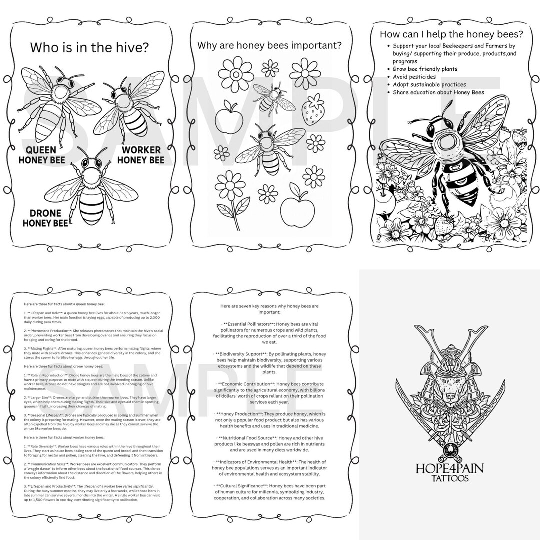 Honey Bee Coloring and Educational Pages Digital Download - Etsy
